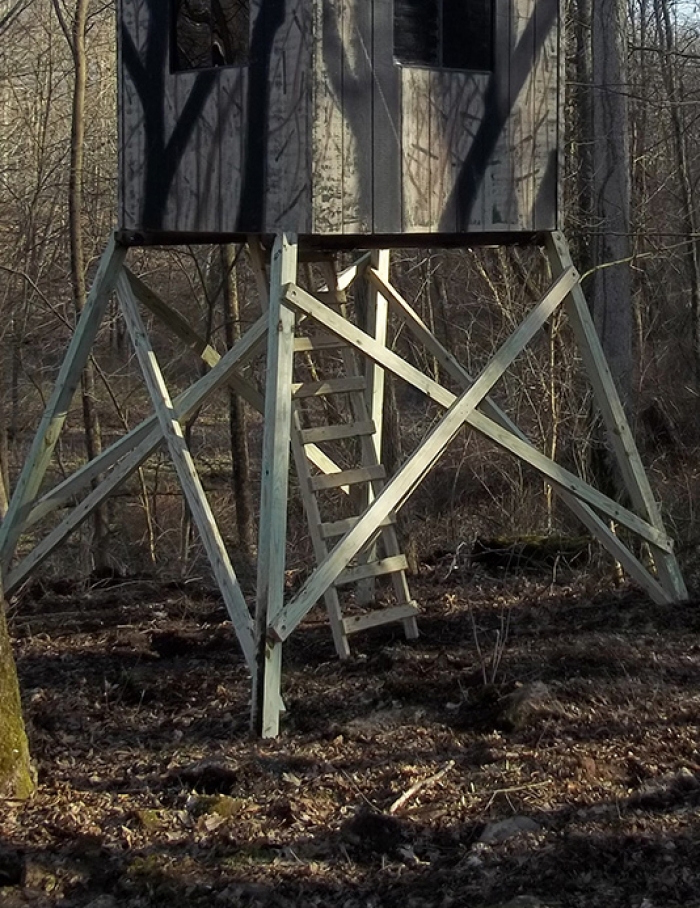 Options Album | Page 1 | Yoders Backyard Structures